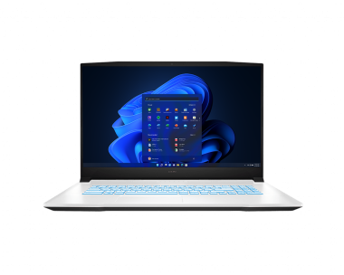 Sword 17 (Intel® 11th Gen) (GeForce RTX™ 30 Series)