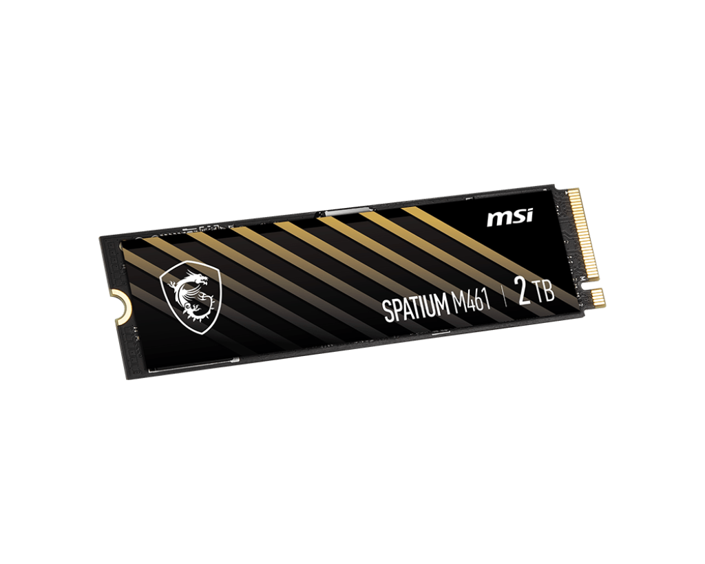 SPATIUM M461 PCIe 4 0 NVMe M 2