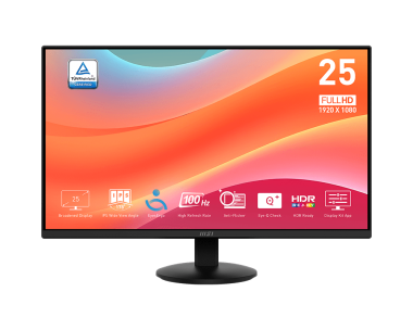 PRO MP252L | Best Monitor for Work and Home | MSI